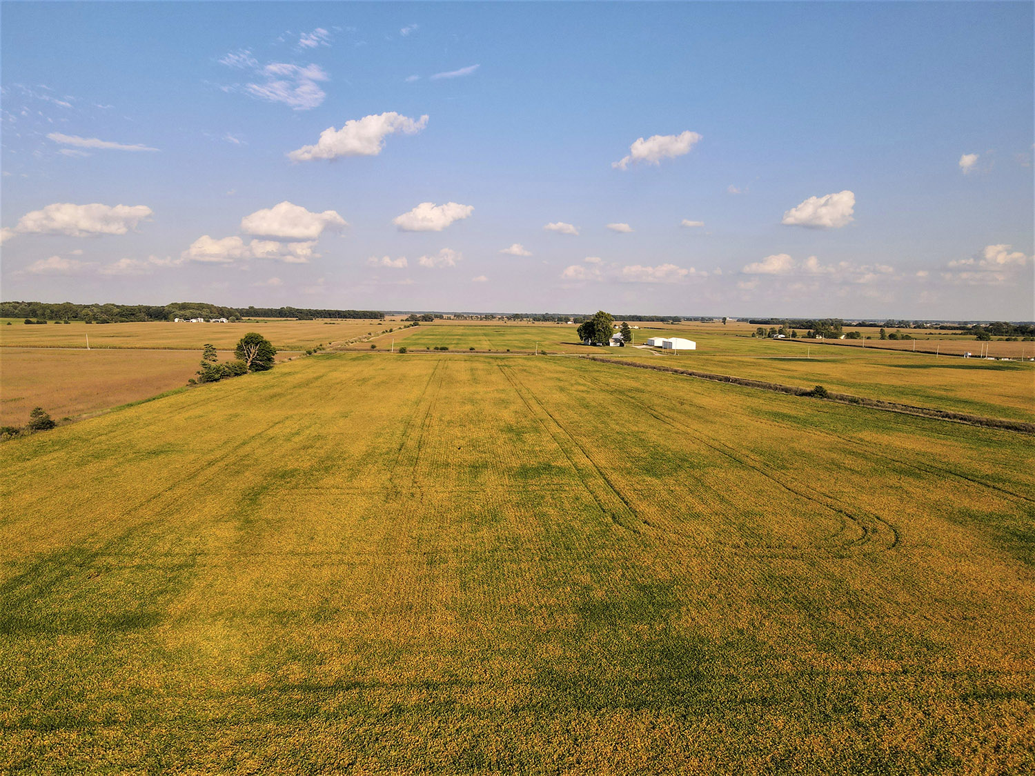 103.6 +/- ACRE AUCTION IN WHITE COUNTY, INDIANA - Farm Real Estate for ...