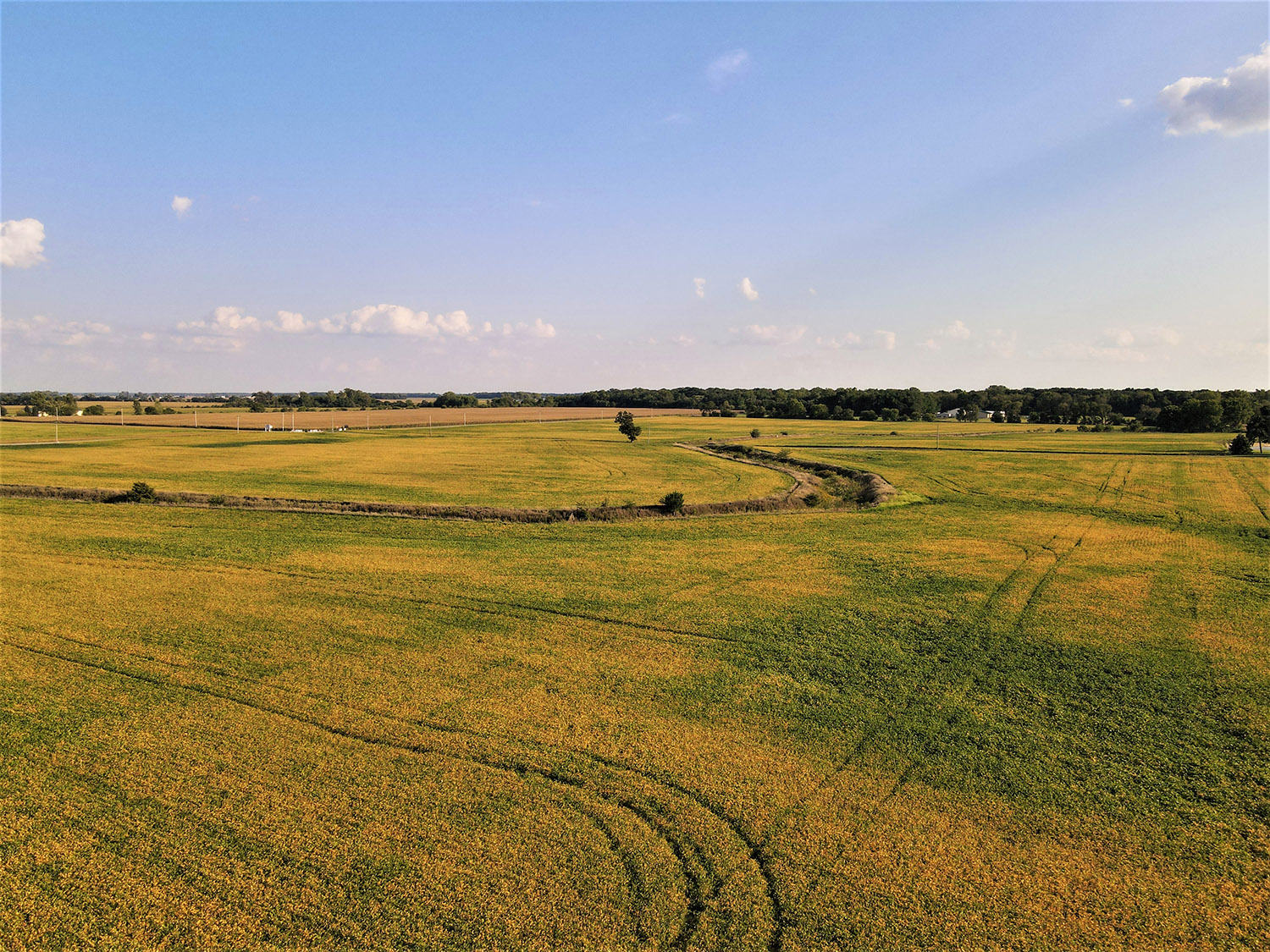 103.6 +/- ACRE AUCTION IN WHITE COUNTY, INDIANA - Farm Real Estate for ...