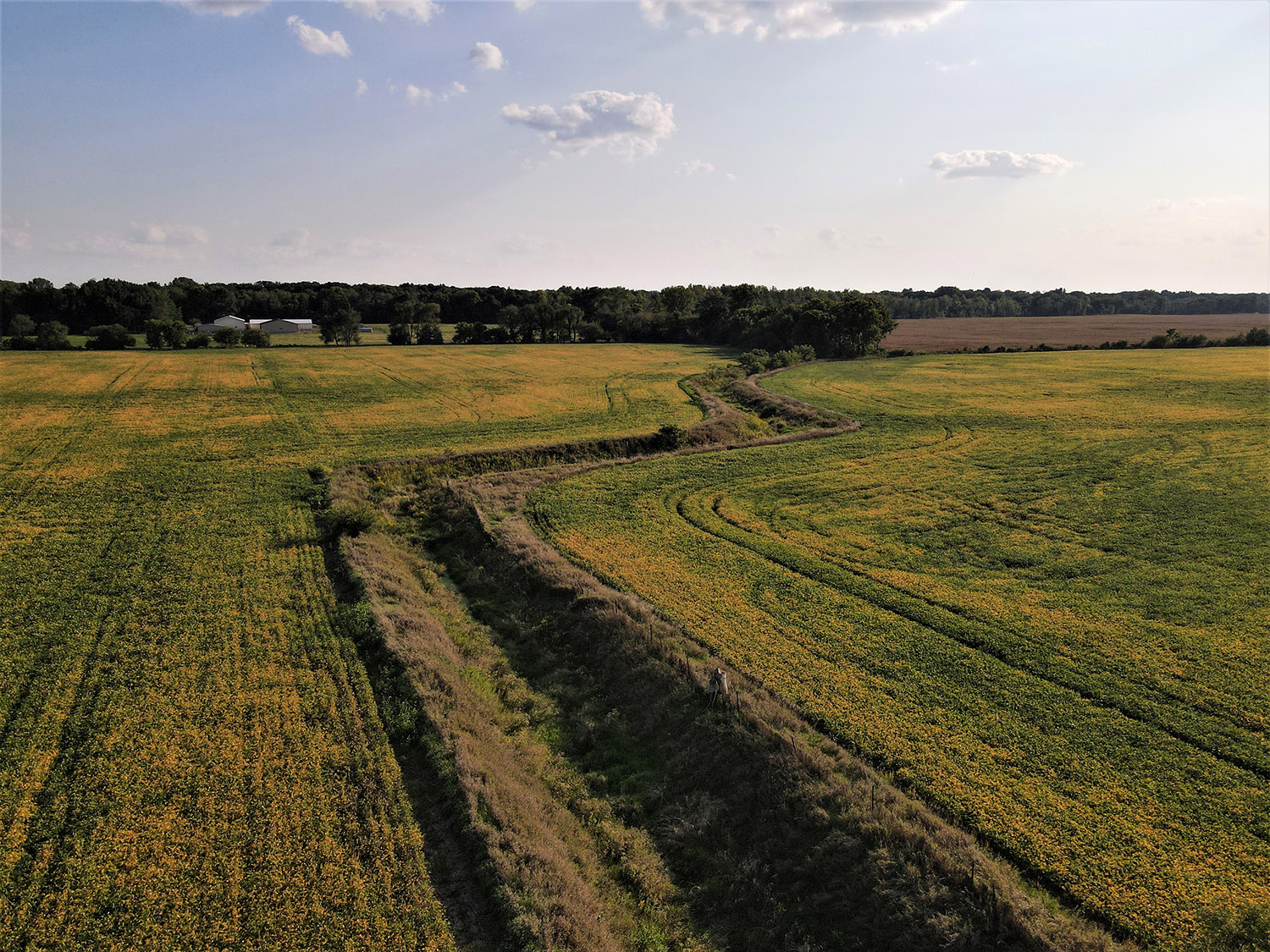 103.6 +/- ACRE AUCTION IN WHITE COUNTY, INDIANA - Farm Real Estate for ...