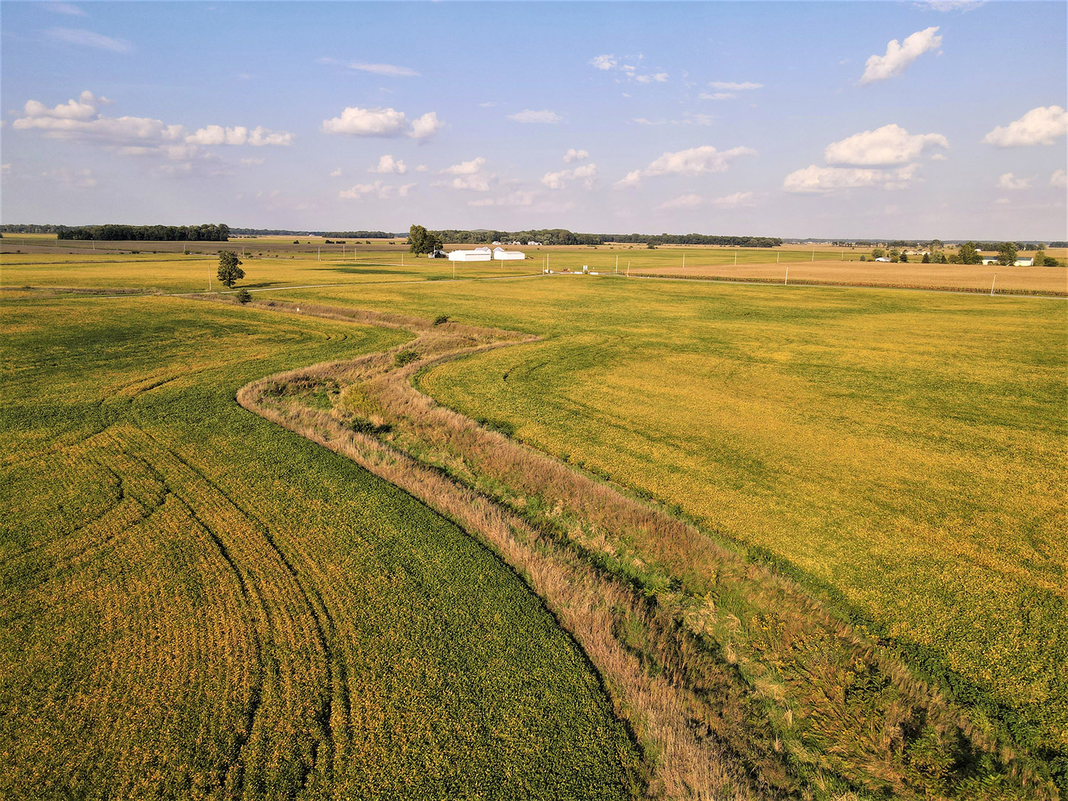 103.6 +/- ACRE AUCTION IN WHITE COUNTY, INDIANA - Farm Real Estate for ...