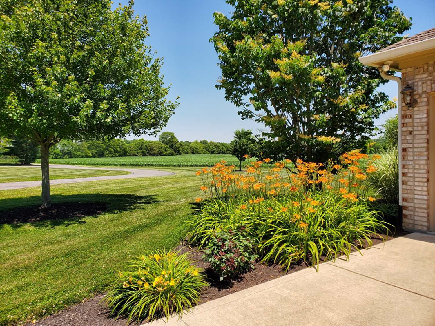 30 Acres Rural Estate and Pond Shelby County Indiana - Farm Real Estate ...