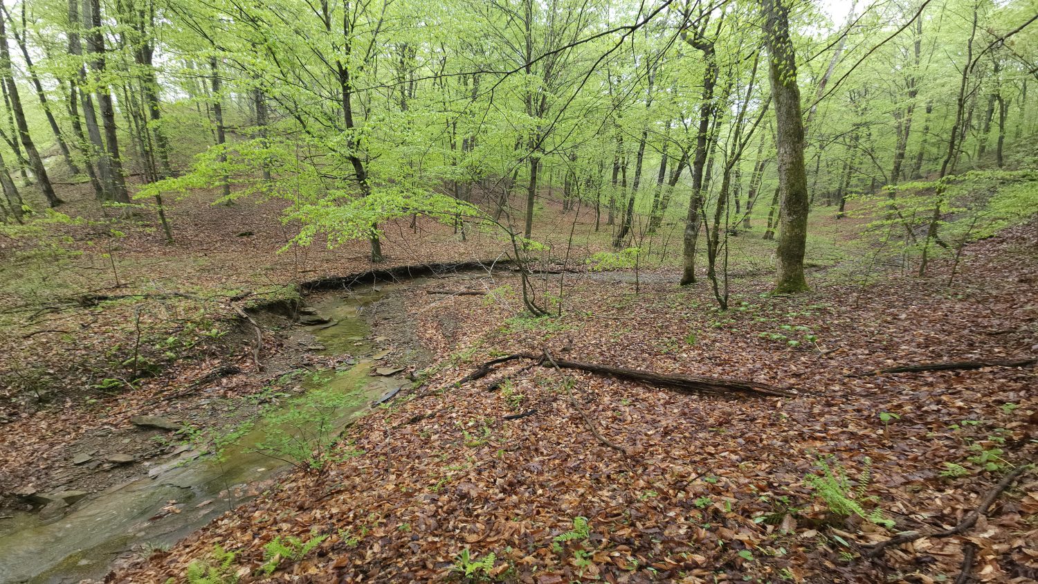 84 +/- Acres Norman, Indiana: Diverse Buildable Tract in Jackson County ...