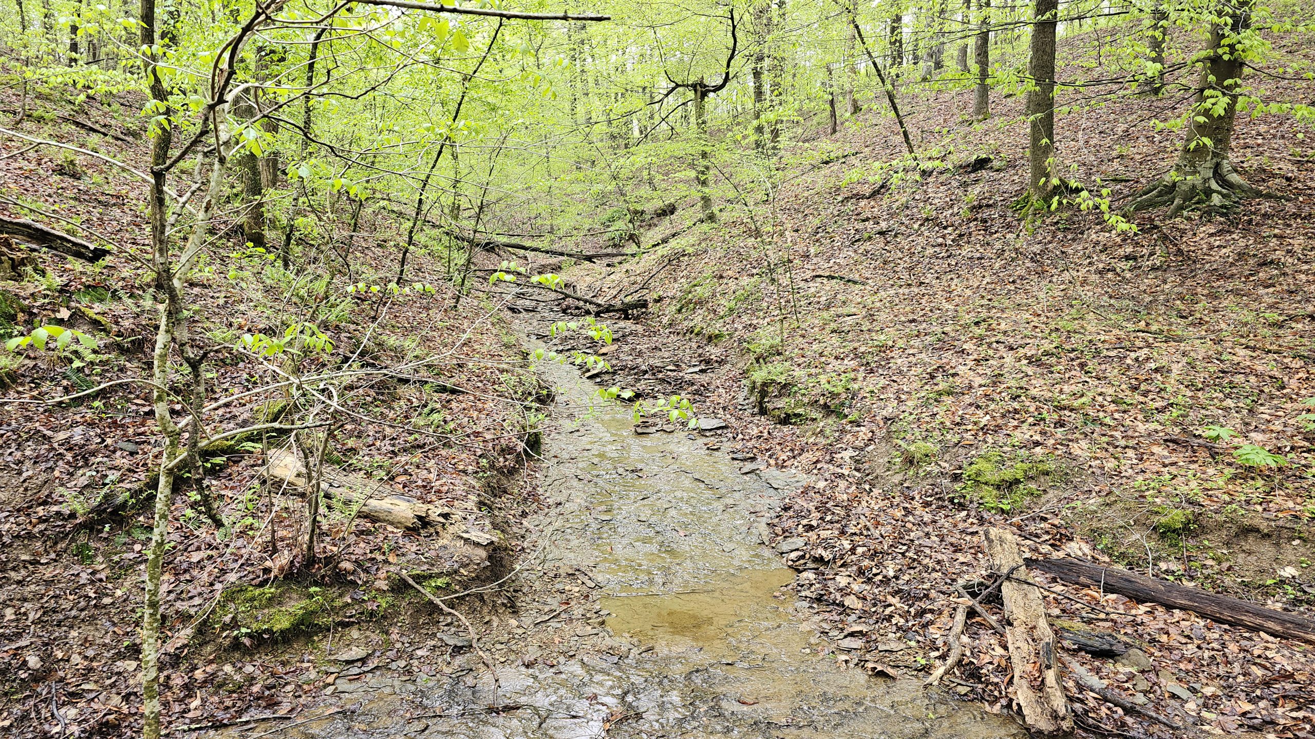 84 +/- Acres Norman, Indiana: Diverse Buildable Tract in Jackson County ...